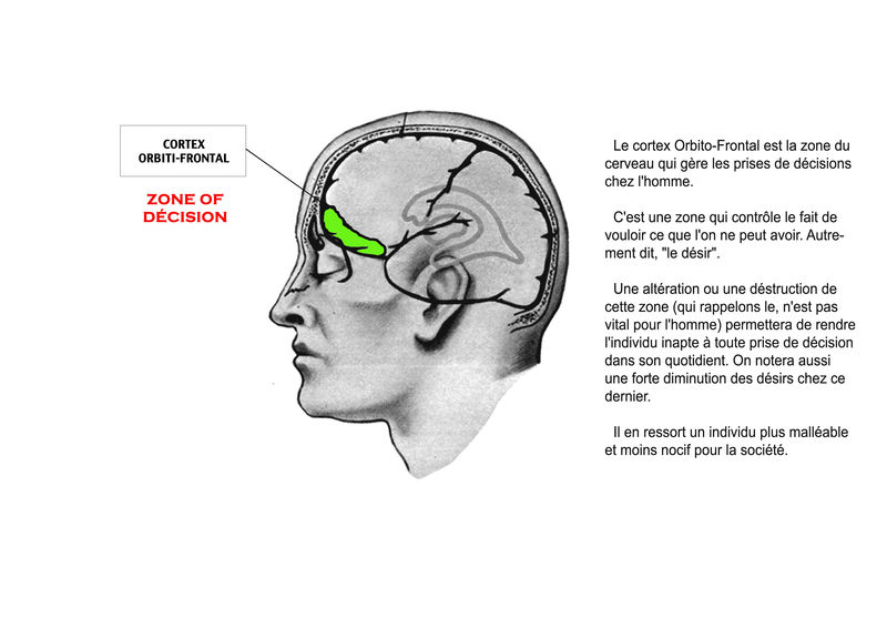 Orbitofrontaler Cortex