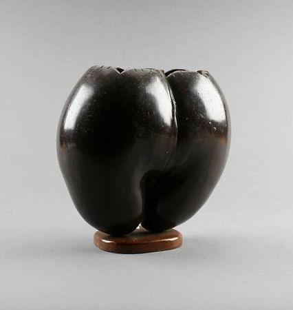 A Seychelles coco-de-mer nut. (Lodoicea maldivica) - Alain.R.Truong