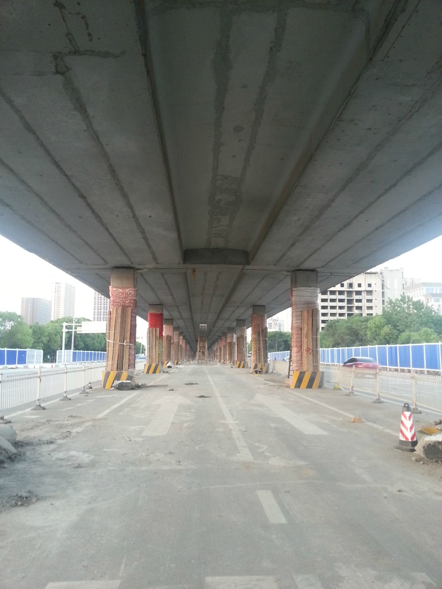 ClÃ© de dÃ©termination des noms d'arbres